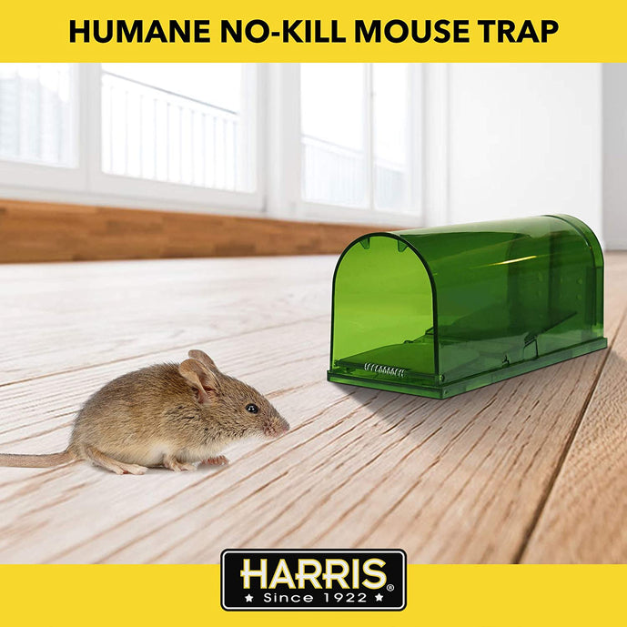 humane mouse traps that work
